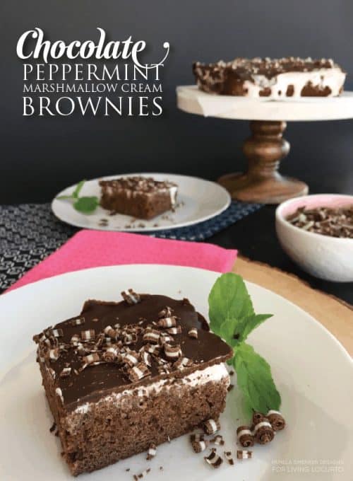 Peppermint Chocolate Popsicles - Easy Snack Recipe - Living Locurto