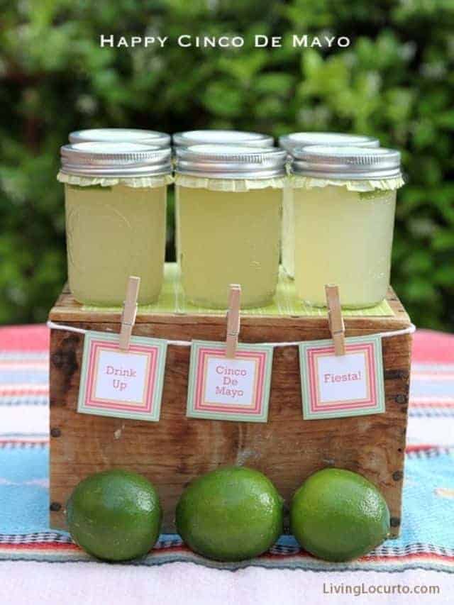 Cinco de Mayo Party Ideas - Living Locurto