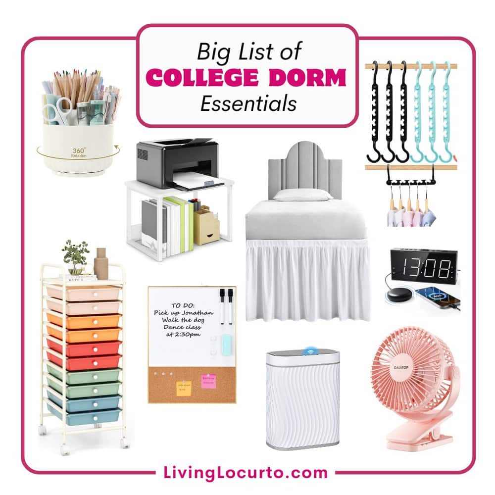 SCAD Hive Dimensions & College Packing List - Living Locurto